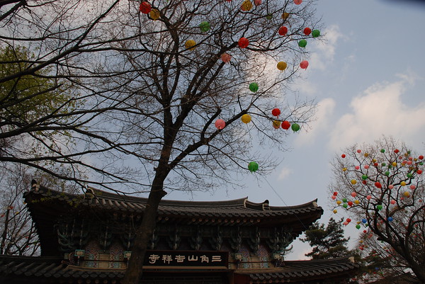 Beop Jeong Seunim | Somewhere in Dhamma...